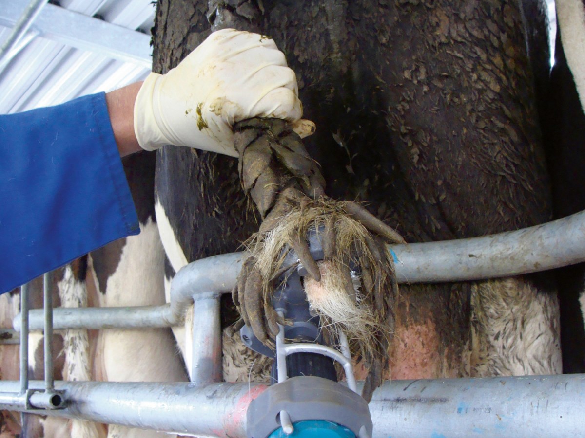 Cow Tail Trimmer TailWell,Agric ... - Kerbl UK Ltd