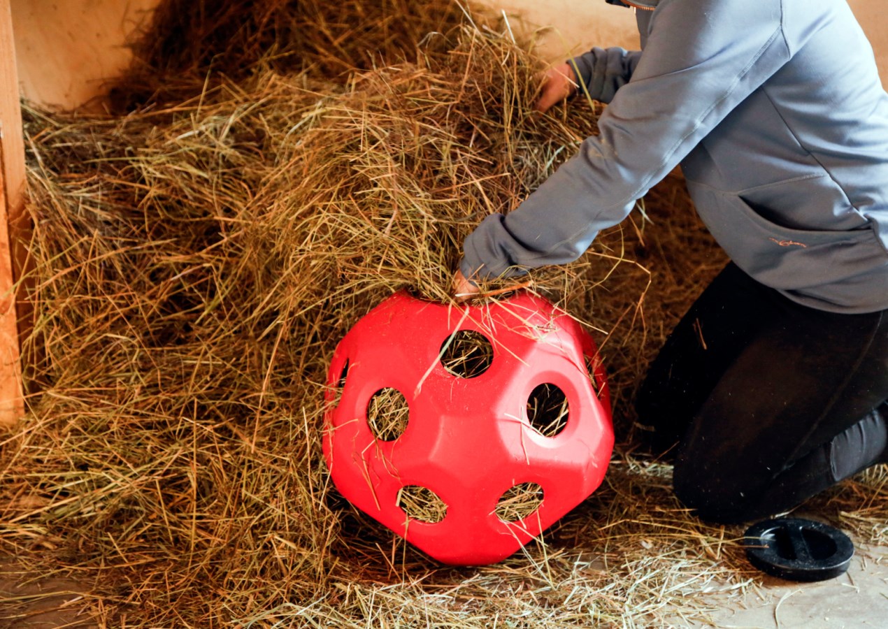 Feed Ball Toy,Agricultural Supp ... - Kerbl UK Ltd