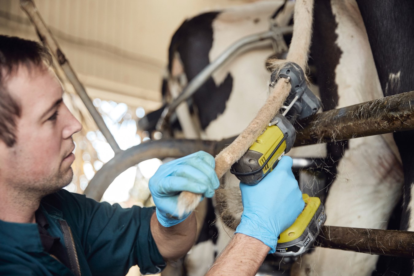 Cow Tail Trimmer TailWell,Agric ... - Kerbl UK Ltd