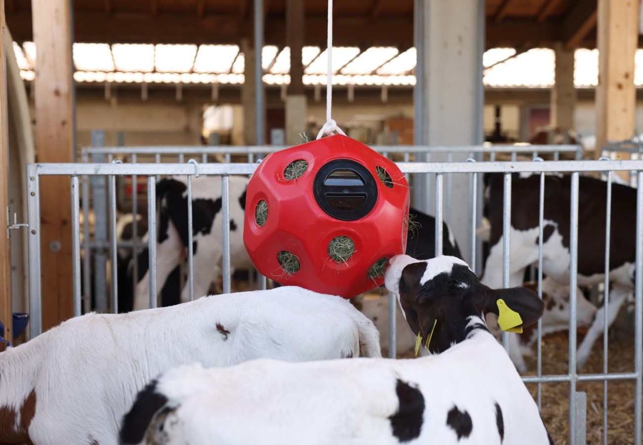 Feed Ball Toy,Agricultural Supp ... - Kerbl UK Ltd