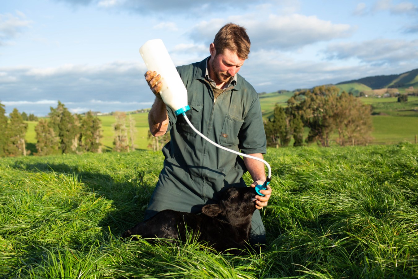 Antahi Calf Drencher,Agricultur ... - Kerbl UK Ltd