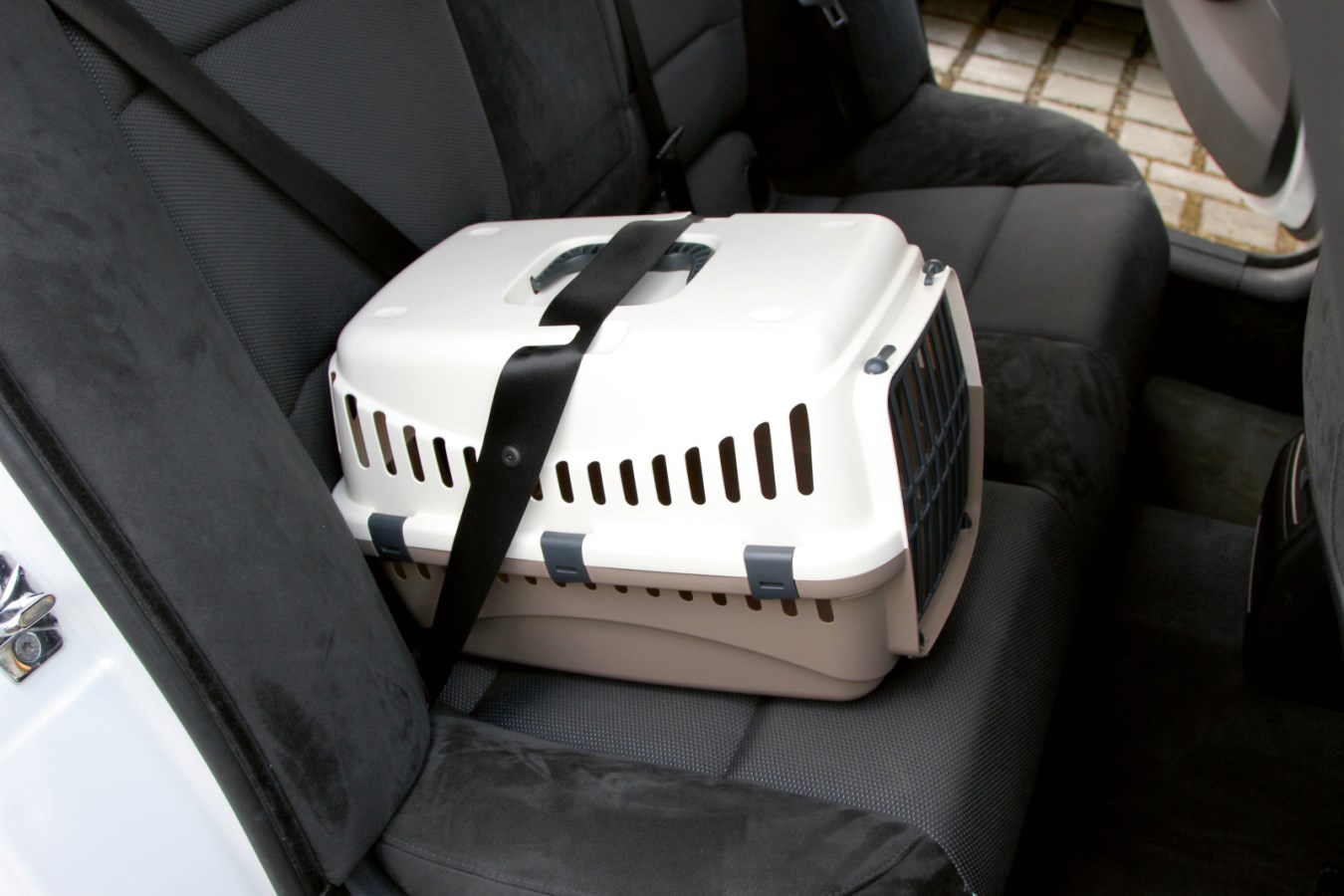 Transport Box Expedion,Pet,Cat ... - Kerbl UK Ltd