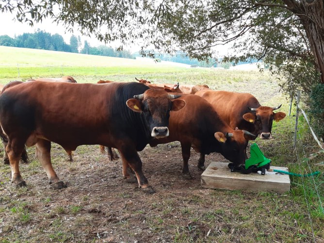 Pasture Pump,Stable and Yard,Dr ... - Kerbl UK Ltd