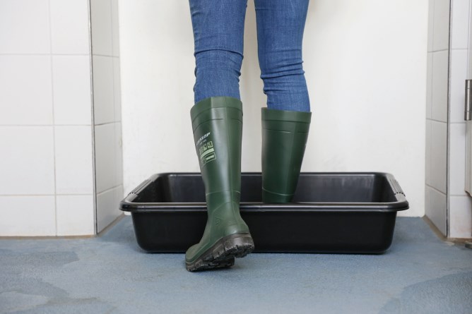 Boot disinfectant bath Premium, ... - Kerbl UK Ltd