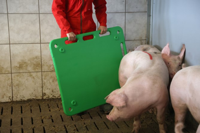 Pig Herding Board,Agricultural ... - Kerbl UK Ltd